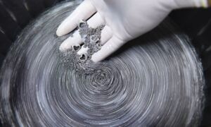 Pandora named world’s most sustainable consumer brand | Jewellery Focus